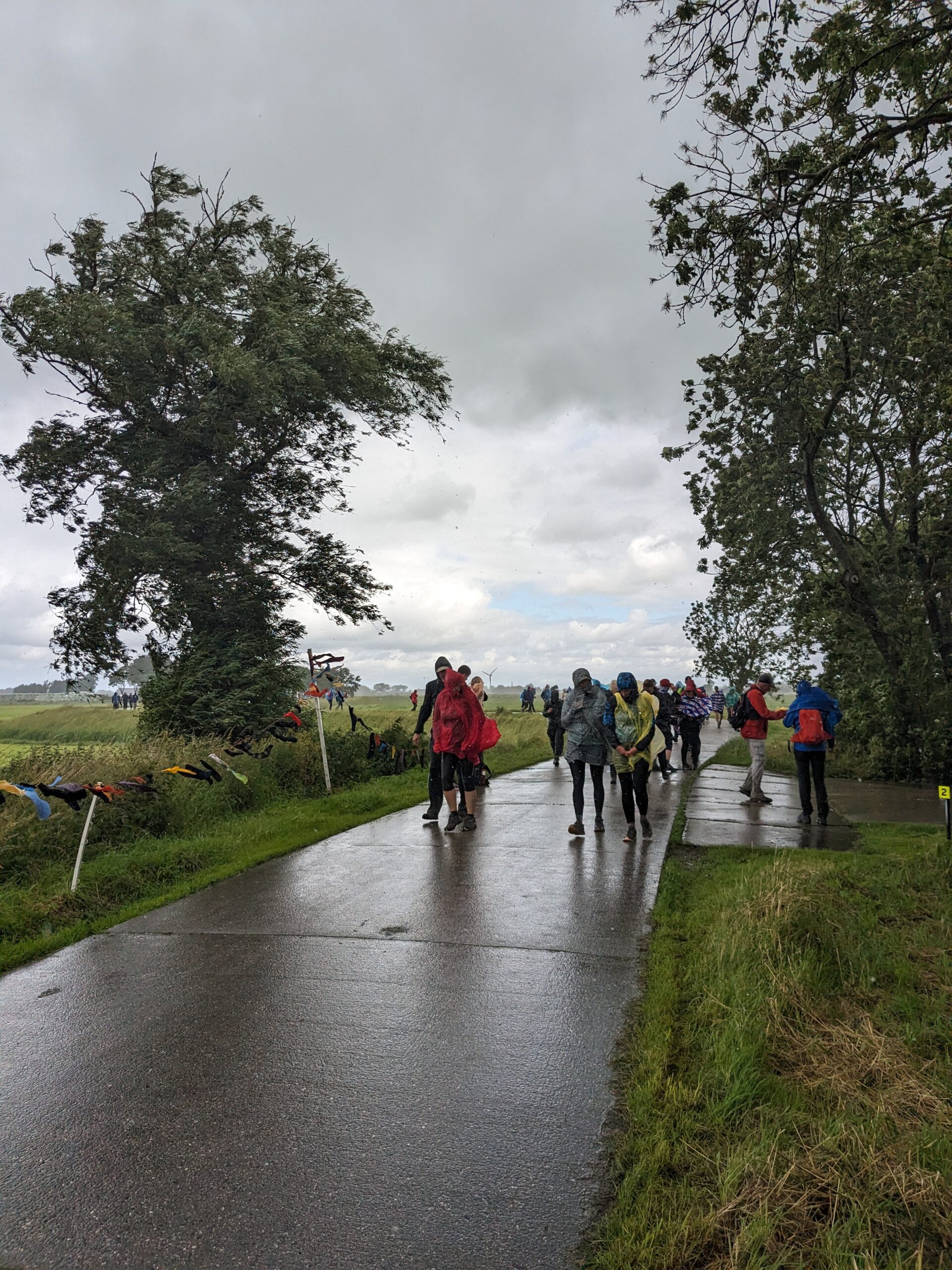 Slachtemarathon 2024 - EnergieKûbaard